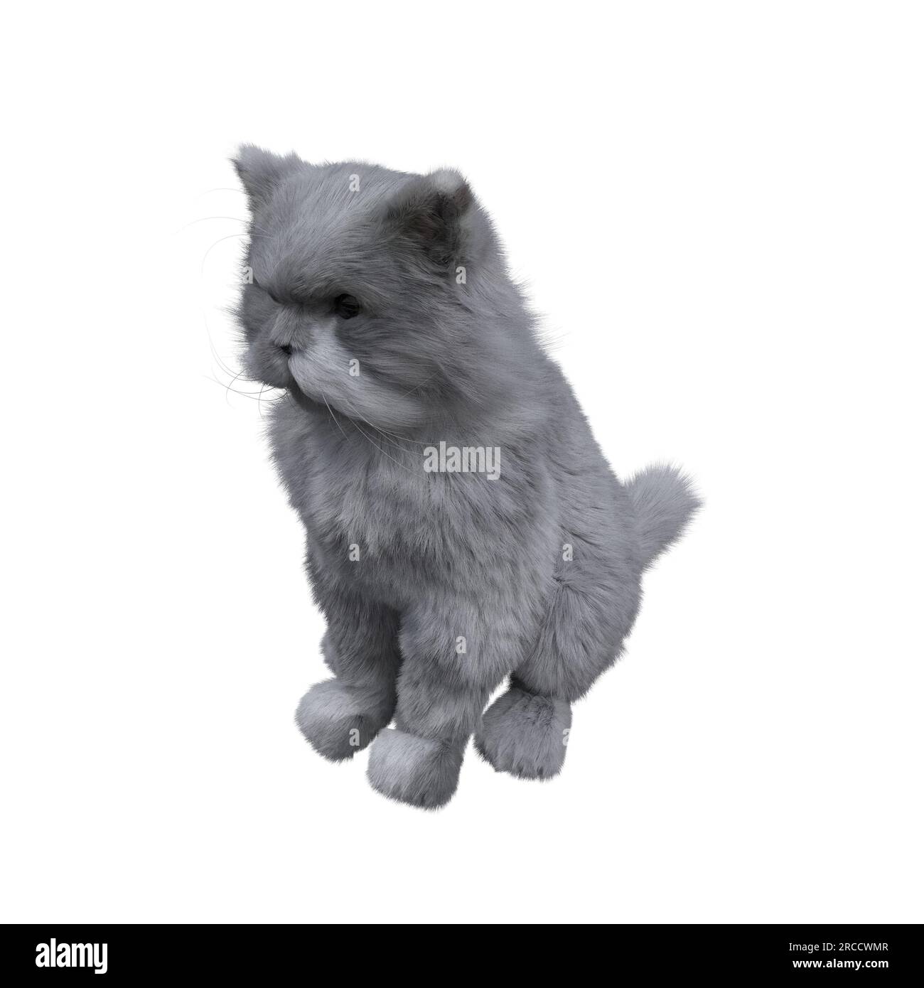 cat isolated on white background, 3D illustration, cg render Stock ...
