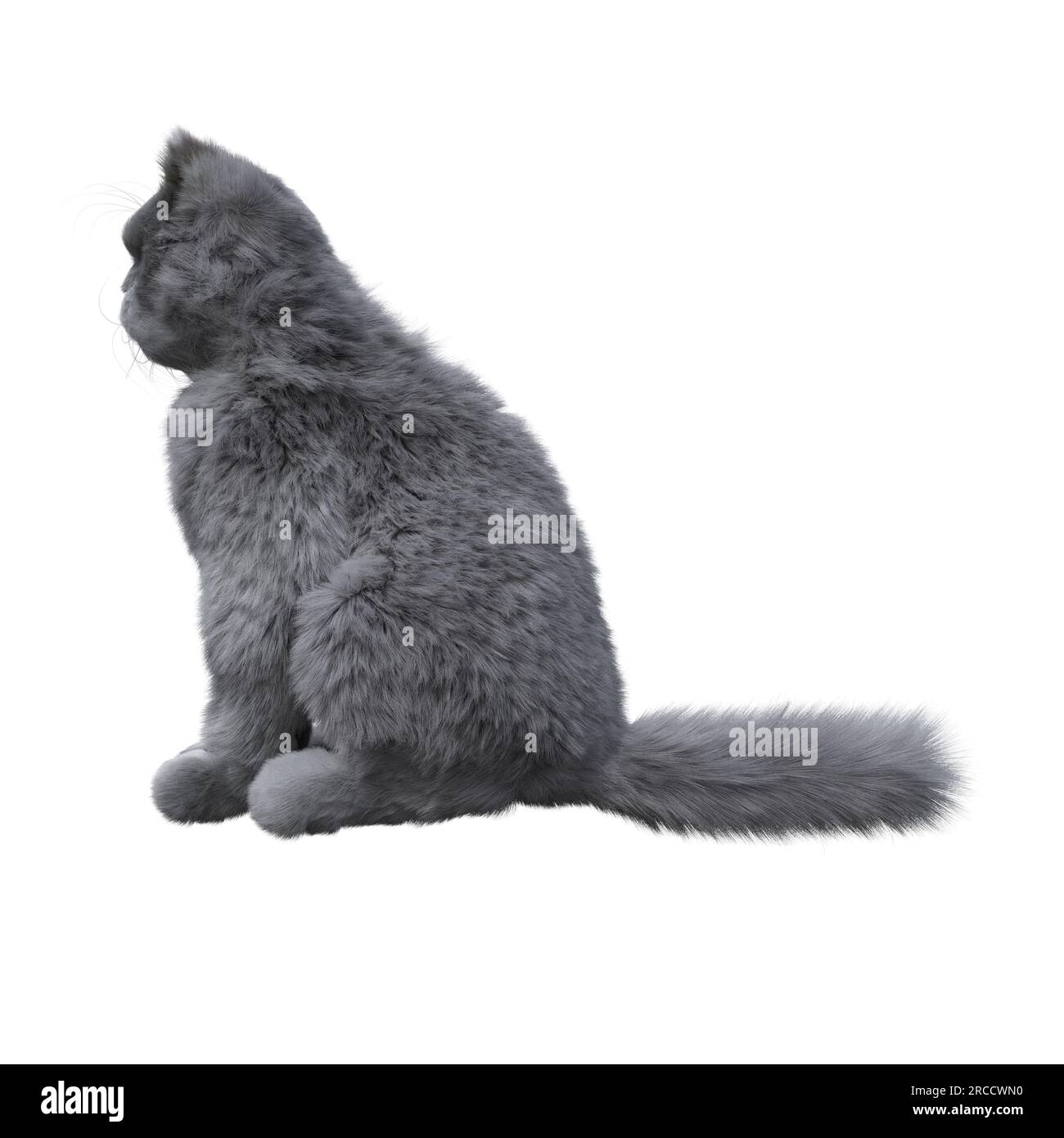 cat isolated on white background, 3D illustration, cg render Stock ...