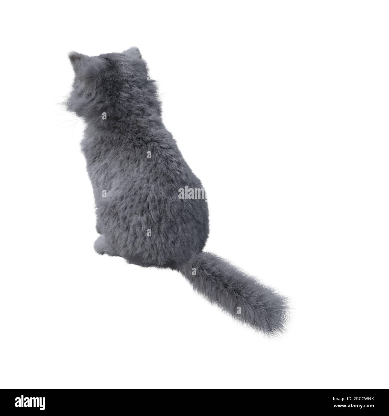 cat isolated on white background, 3D illustration, cg render Stock ...