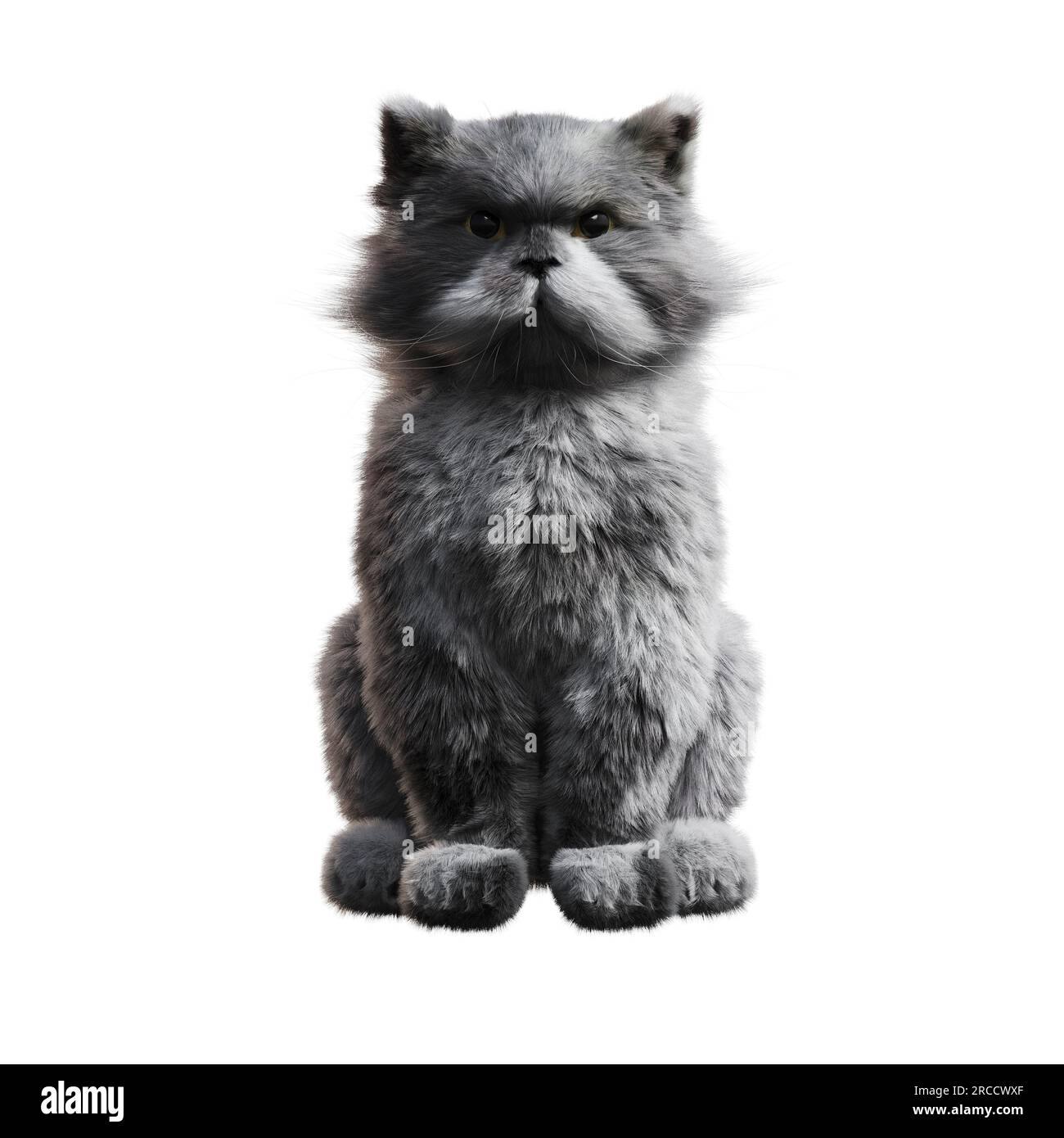 cat isolated on white background, 3D illustration, cg render Stock ...