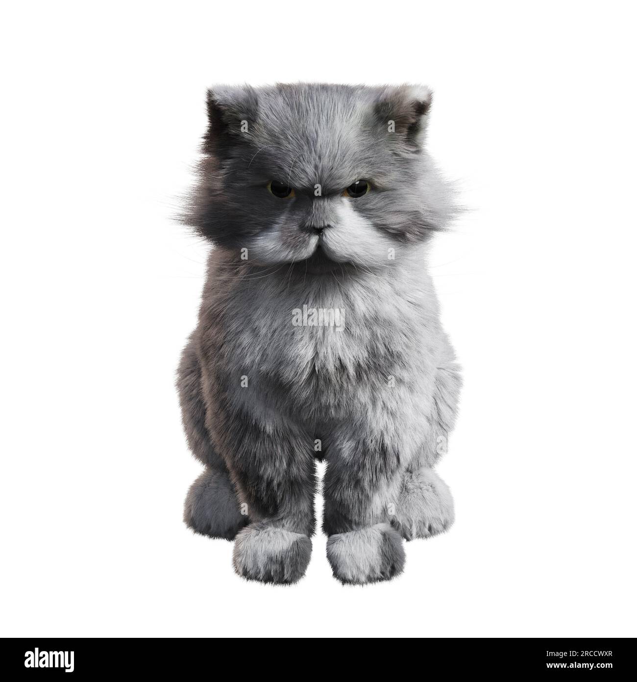 cat isolated on white background, 3D illustration, cg render Stock ...