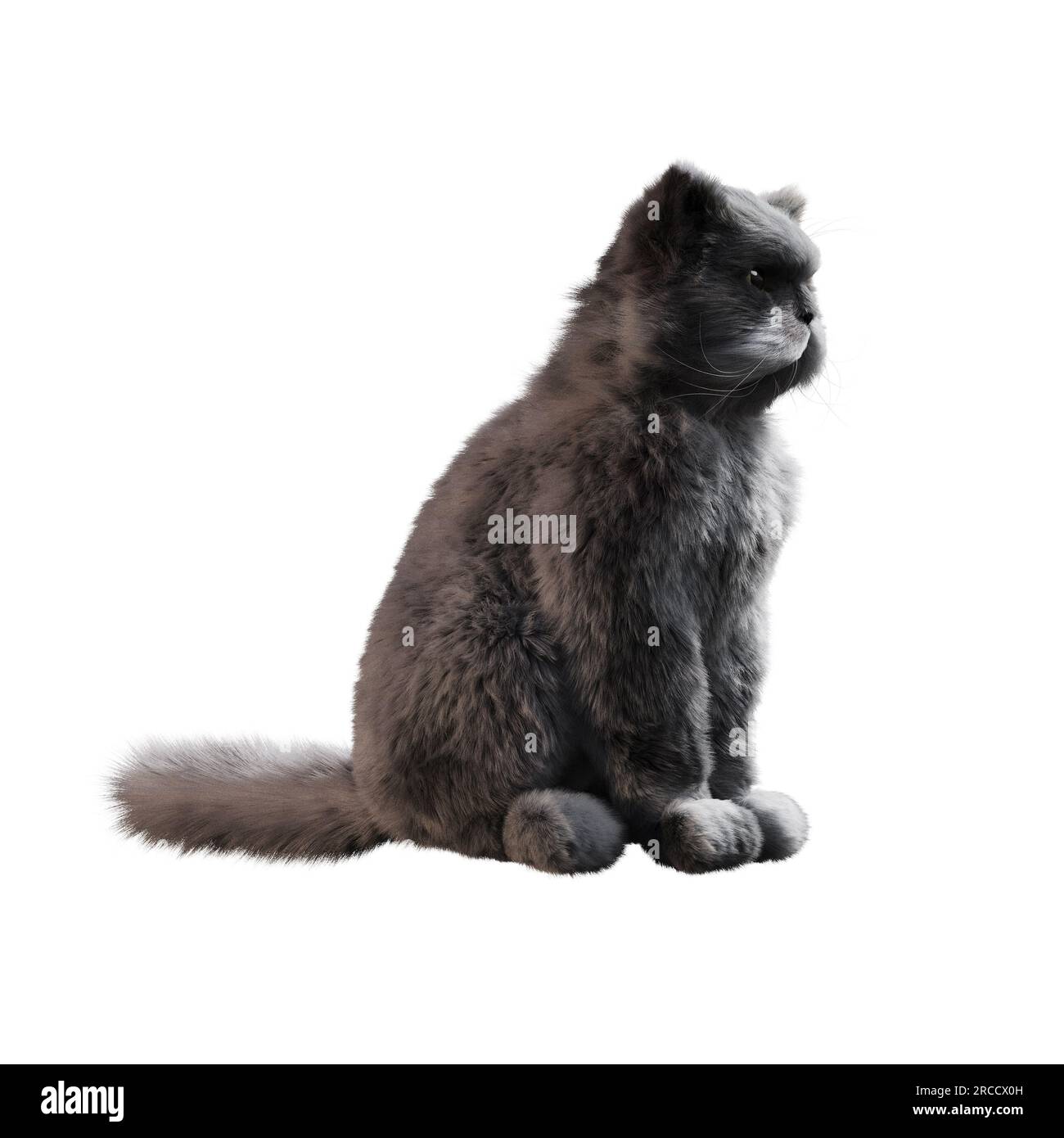 cat isolated on white background, 3D illustration, cg render Stock ...