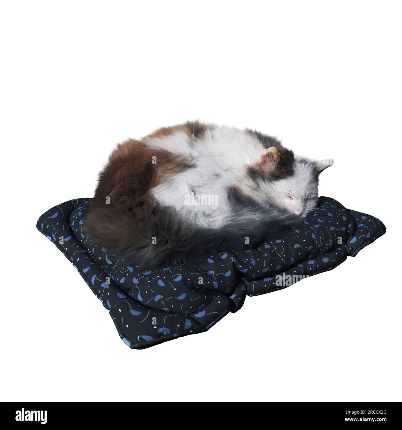 cat isolated on white background, 3D illustration, cg render Stock ...