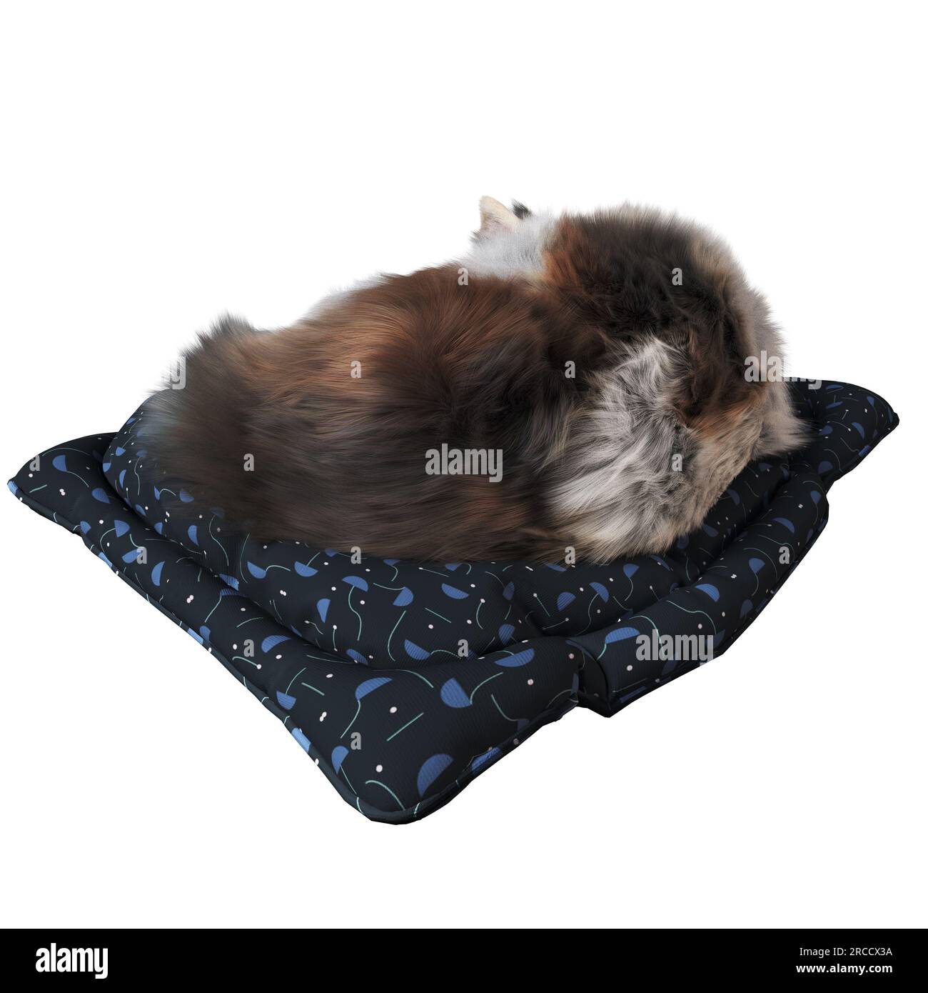 cat isolated on white background, 3D illustration, cg render Stock ...