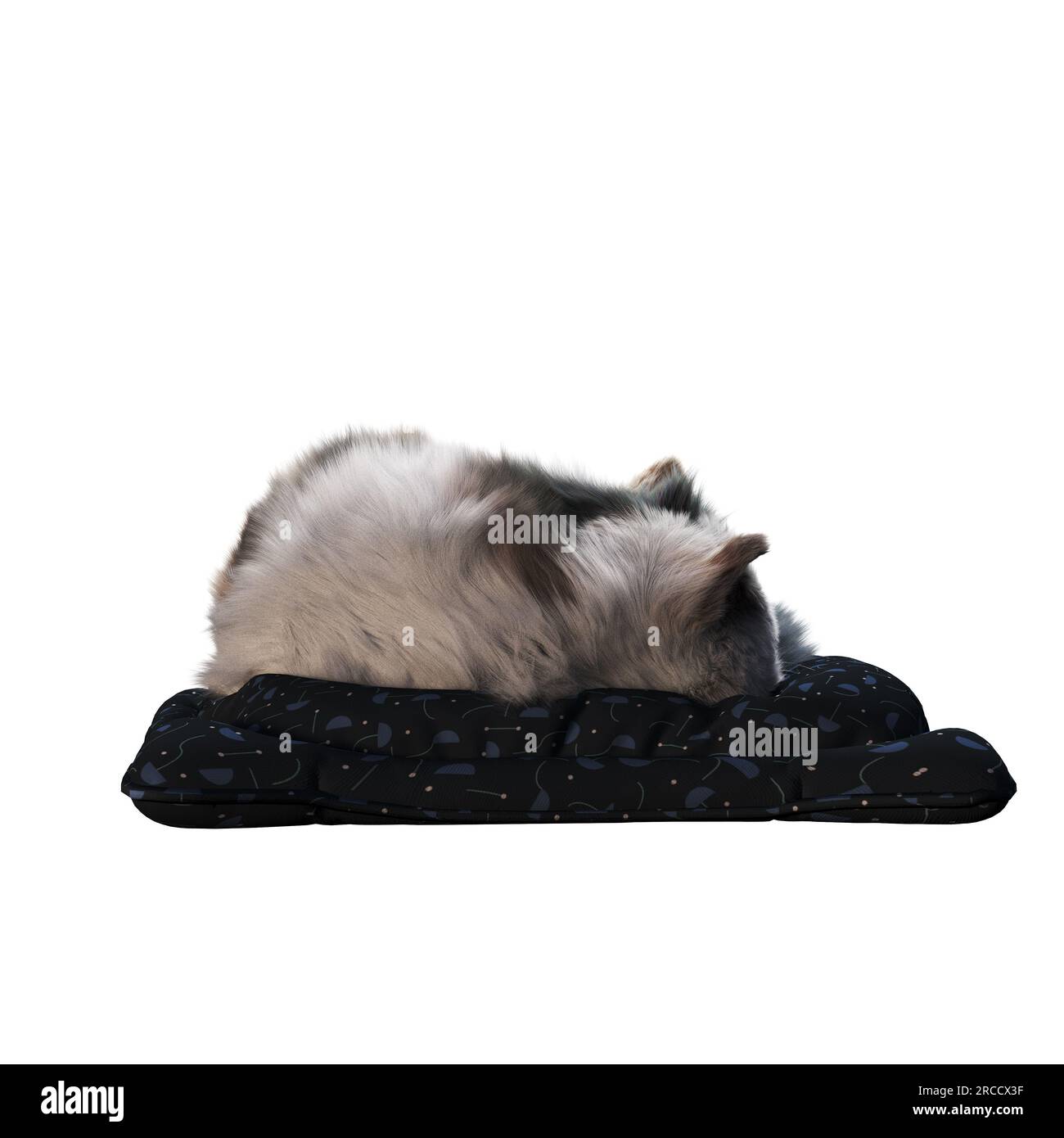 cat isolated on white background, 3D illustration, cg render Stock ...