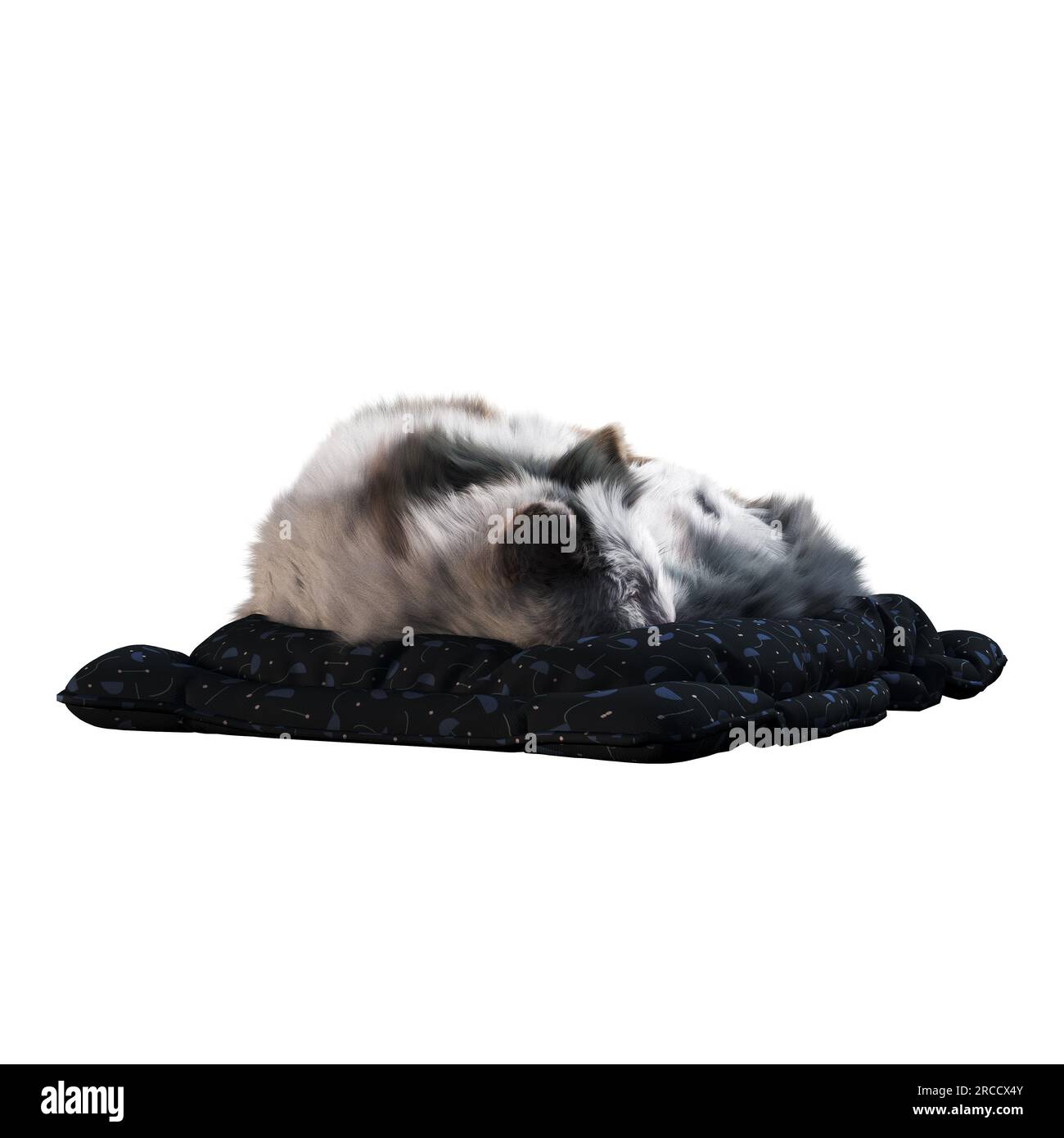 cat isolated on white background, 3D illustration, cg render Stock ...