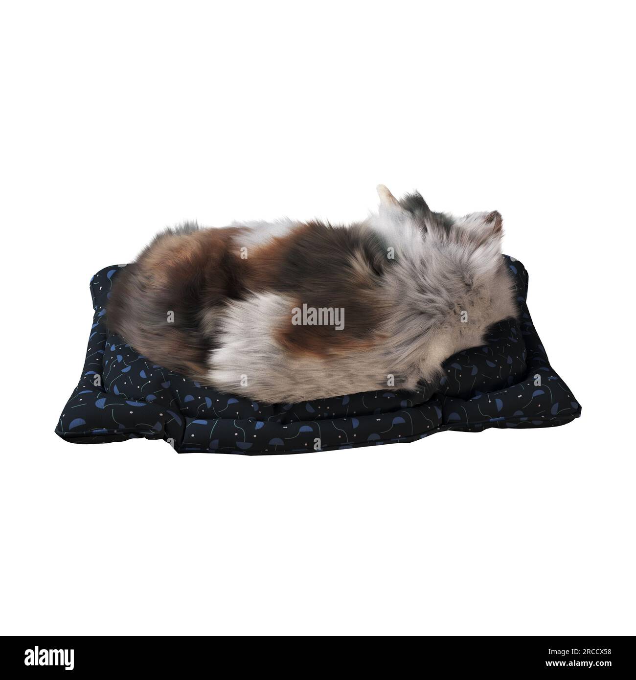 cat isolated on white background, 3D illustration, cg render Stock ...