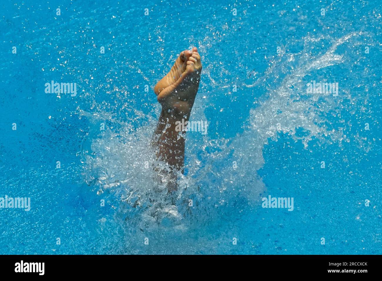 Danylo Konovalov of Ukraine competes in the 1m Springboard Men at the ...