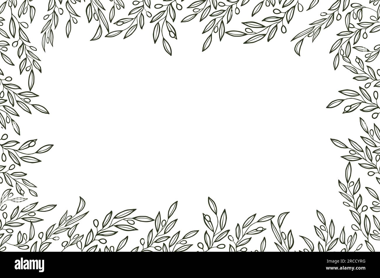 Vector background with olive tree decoration. Vegan food illustration ...