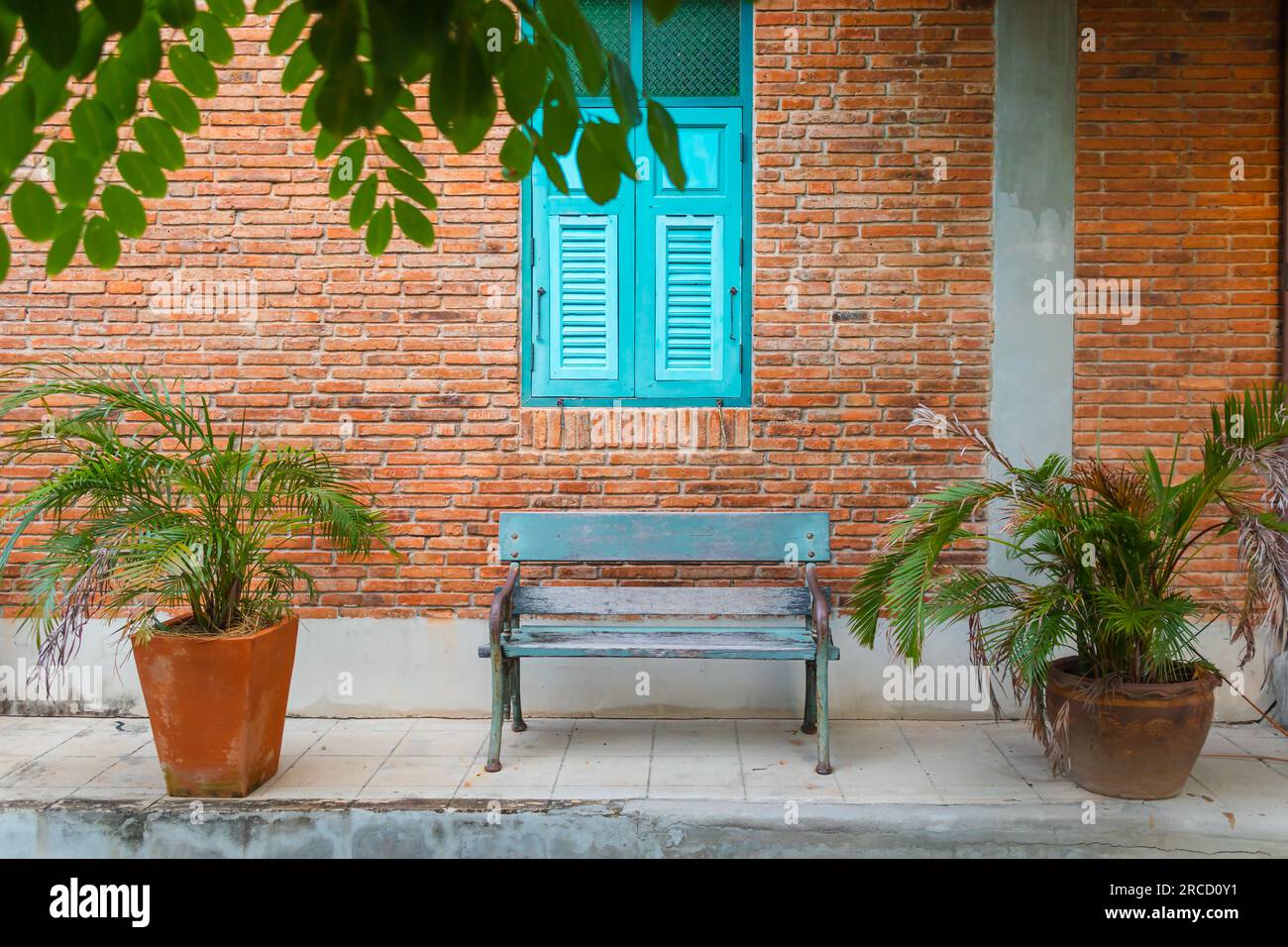 Empty bench and decorative tree on brick wall background with window ...