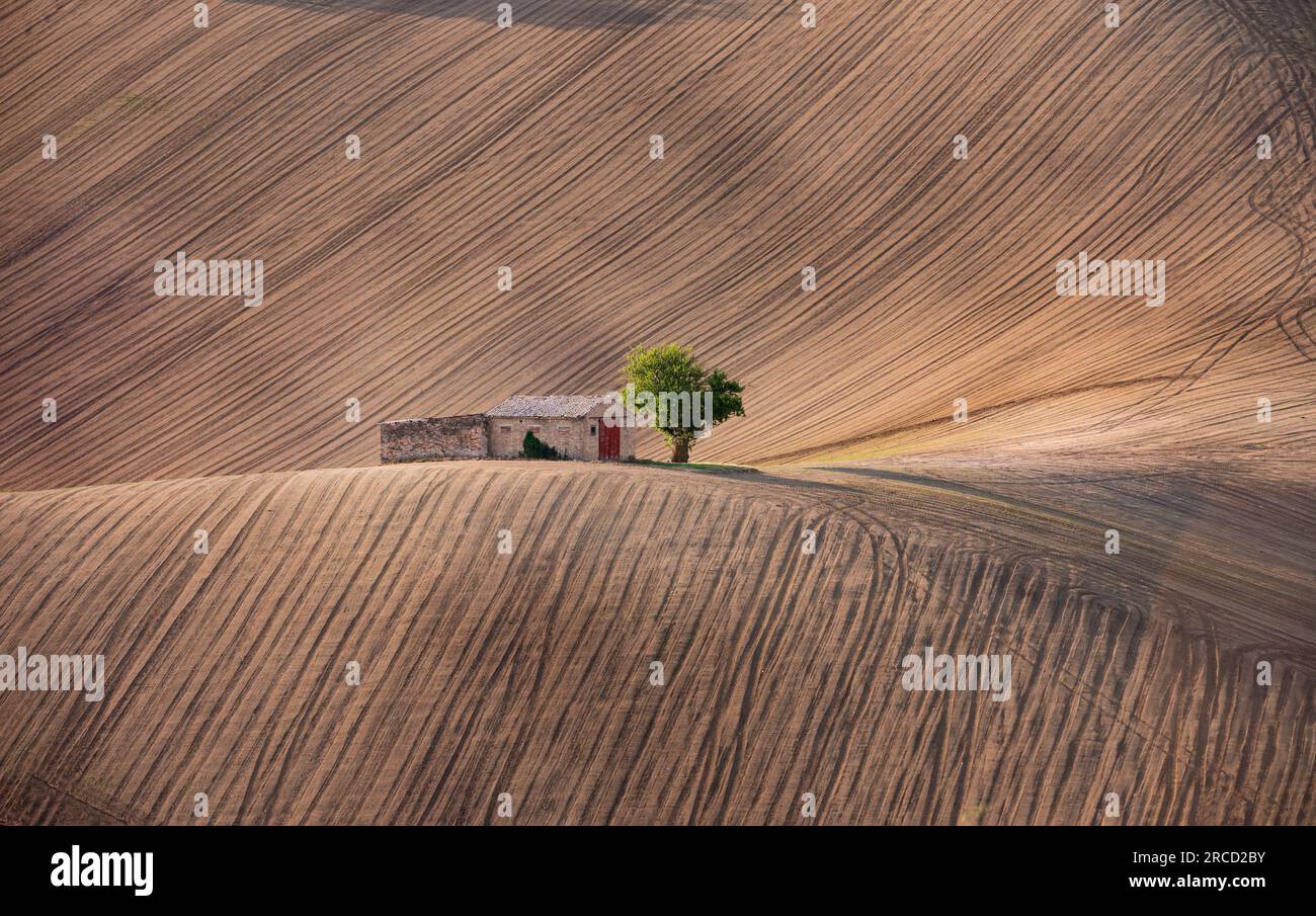 Lone farm house among agricultural fields Stock Photo - Alamy