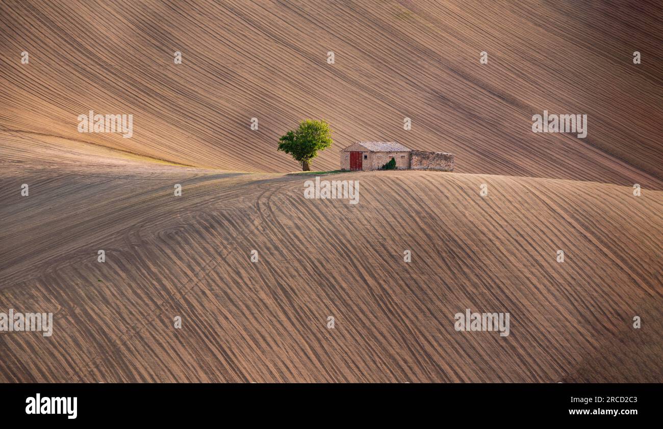 Lone farm house among agricultural fields Stock Photo - Alamy