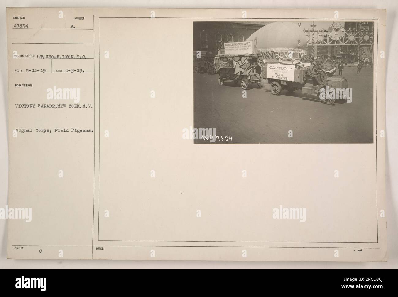Soldiers and war pigeons marching in a victory parade in New York City ...