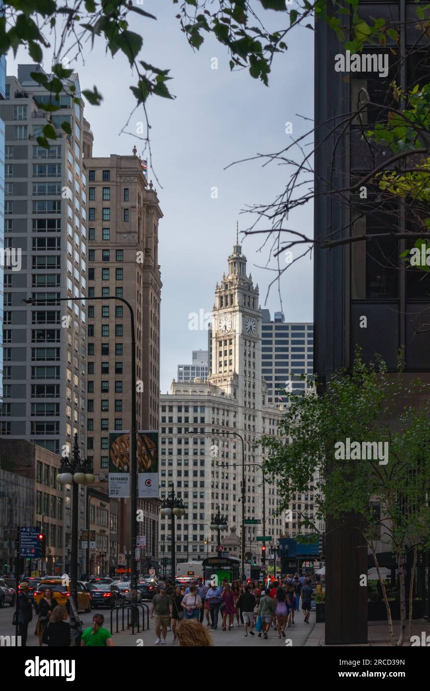 Wrigley Building, Chicago, Illinois Stock Photo - Alamy