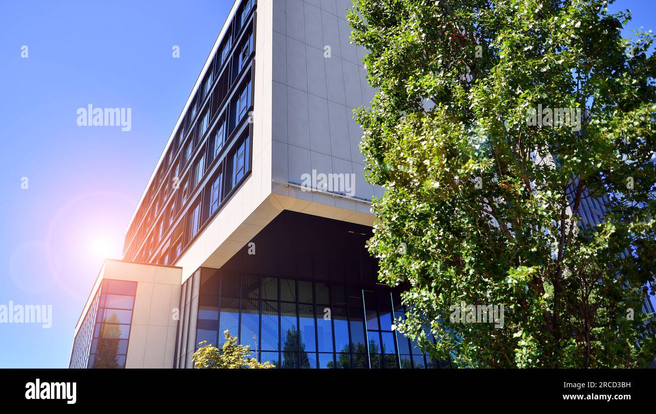Fresh green trees and office building, business concept. Eco building ...