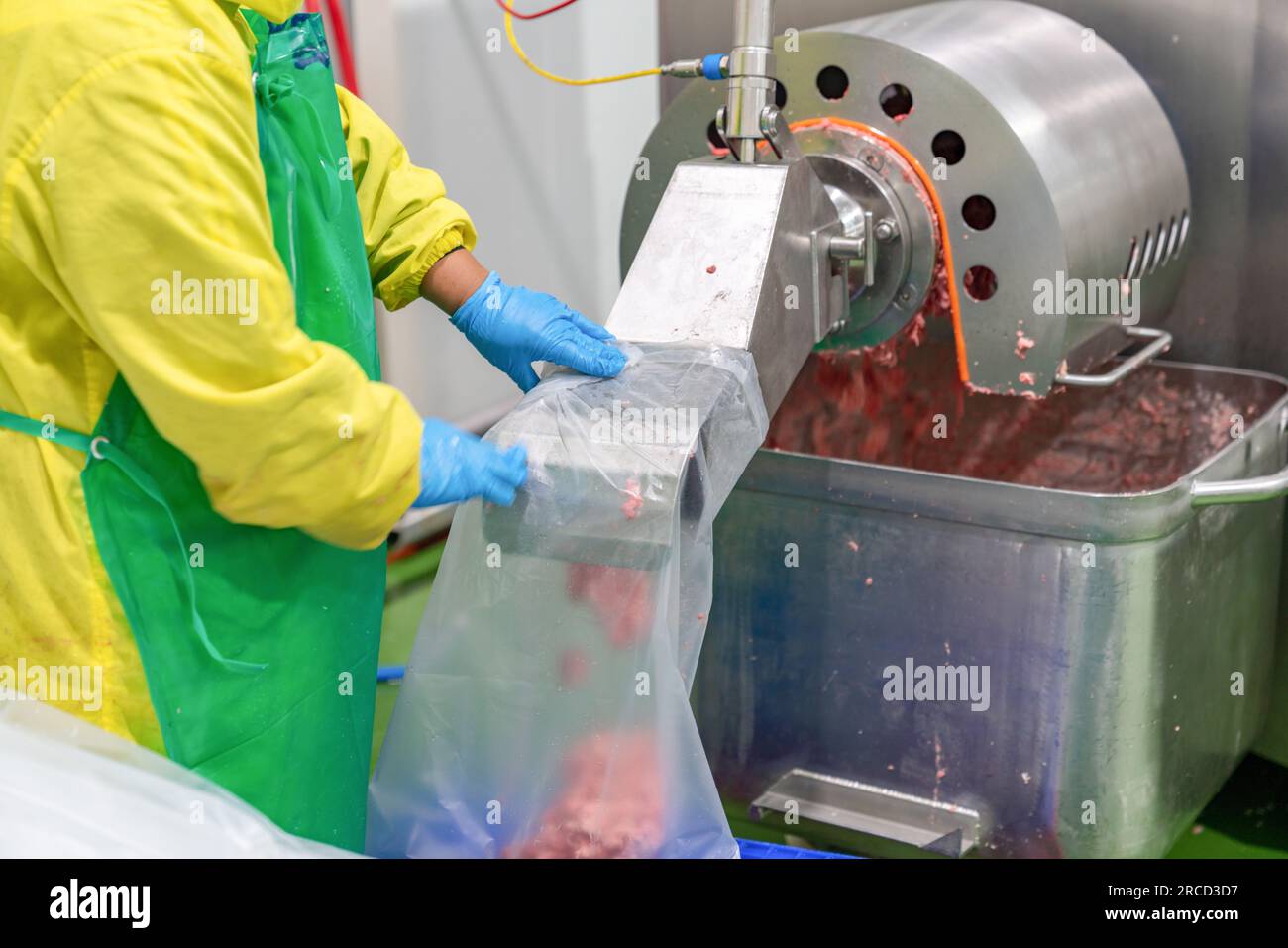The meat in the Grinder being extruded from an industrial crushing ...