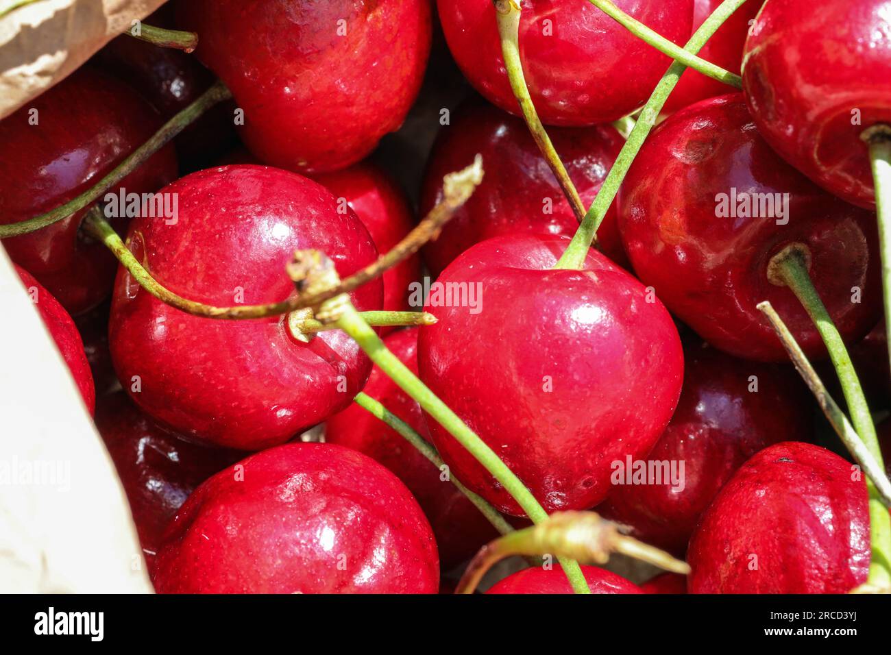 Basic red 5 hi-res stock photography and images - Alamy