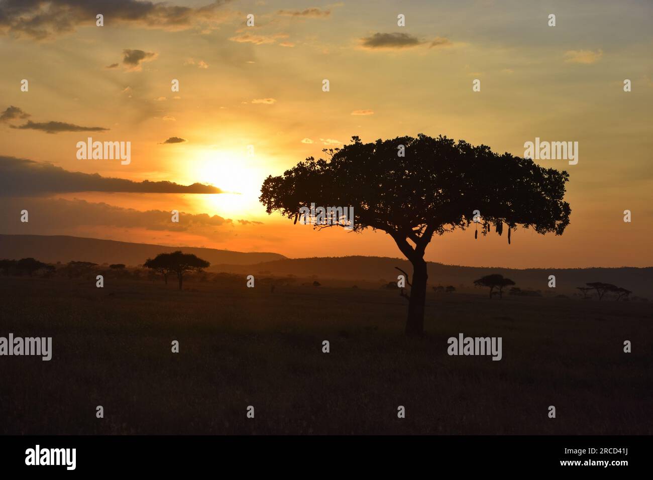 African sunset wallpaper hi-res stock photography and images - Alamy