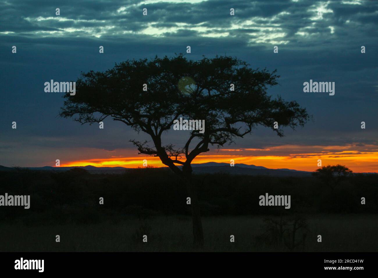 African sunset wallpaper hi-res stock photography and images - Alamy