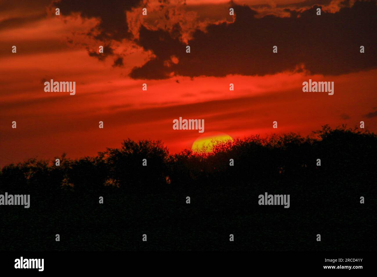 African sunset wallpaper hi-res stock photography and images - Alamy