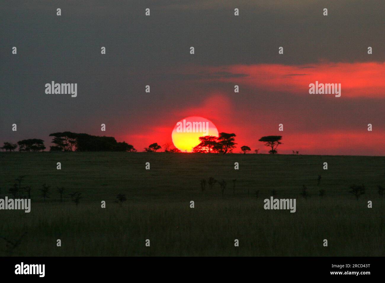 Beautiful African sunset. Photographed in Kenya in April Stock Photo ...