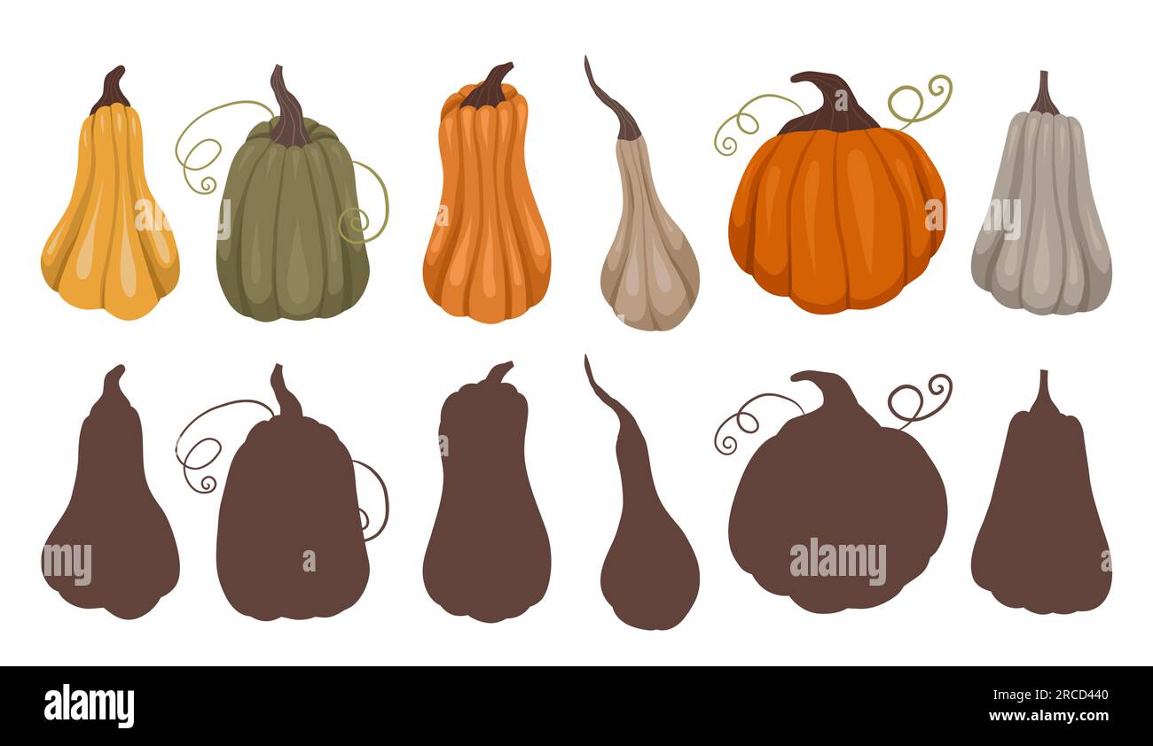 Childrens educational fun. Find right black silhouette for pumpkins ...