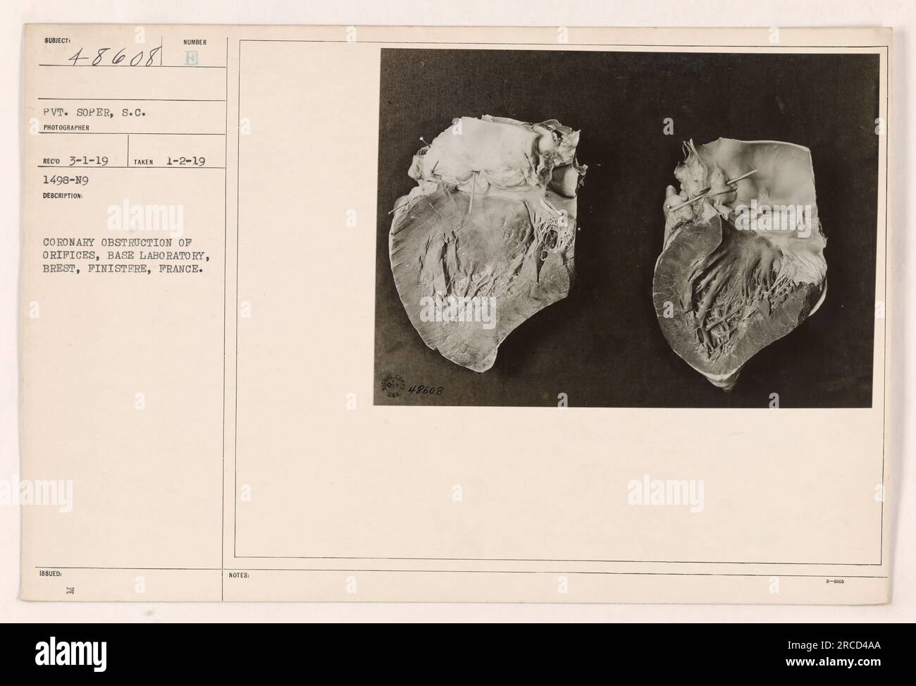 Private Soper of the Signal Corps captured this image on January 2 ...