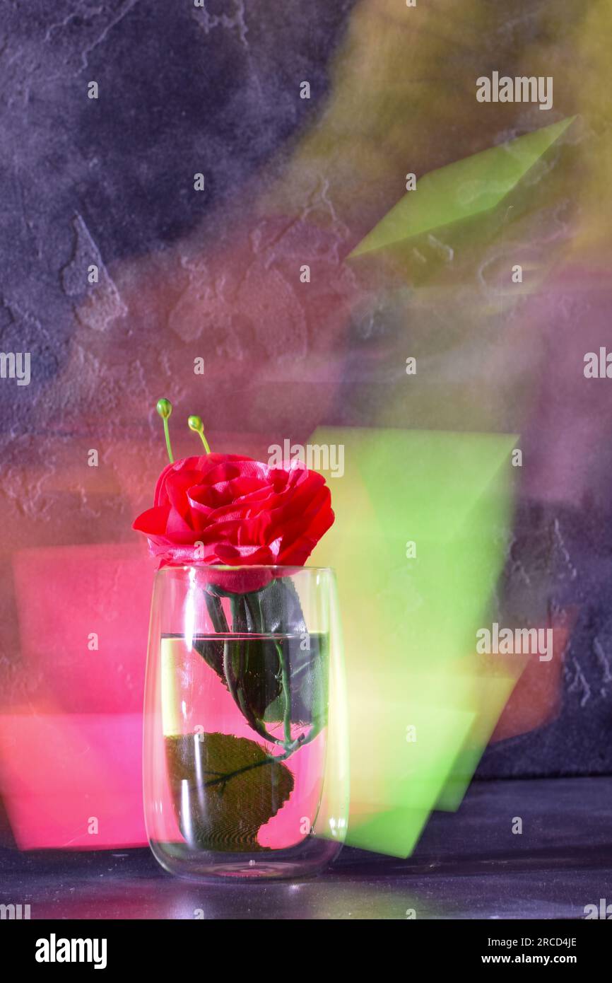 Red rose flower in motion blur. Long exposure concept Stock Photo - Alamy