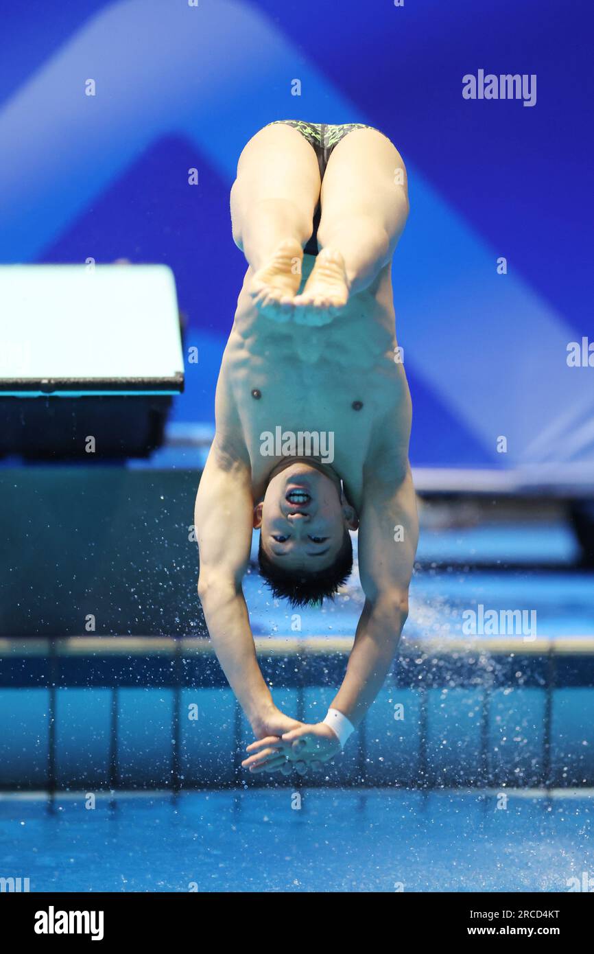 Mens 1m springboard preliminary hi-res stock photography and images - Alamy