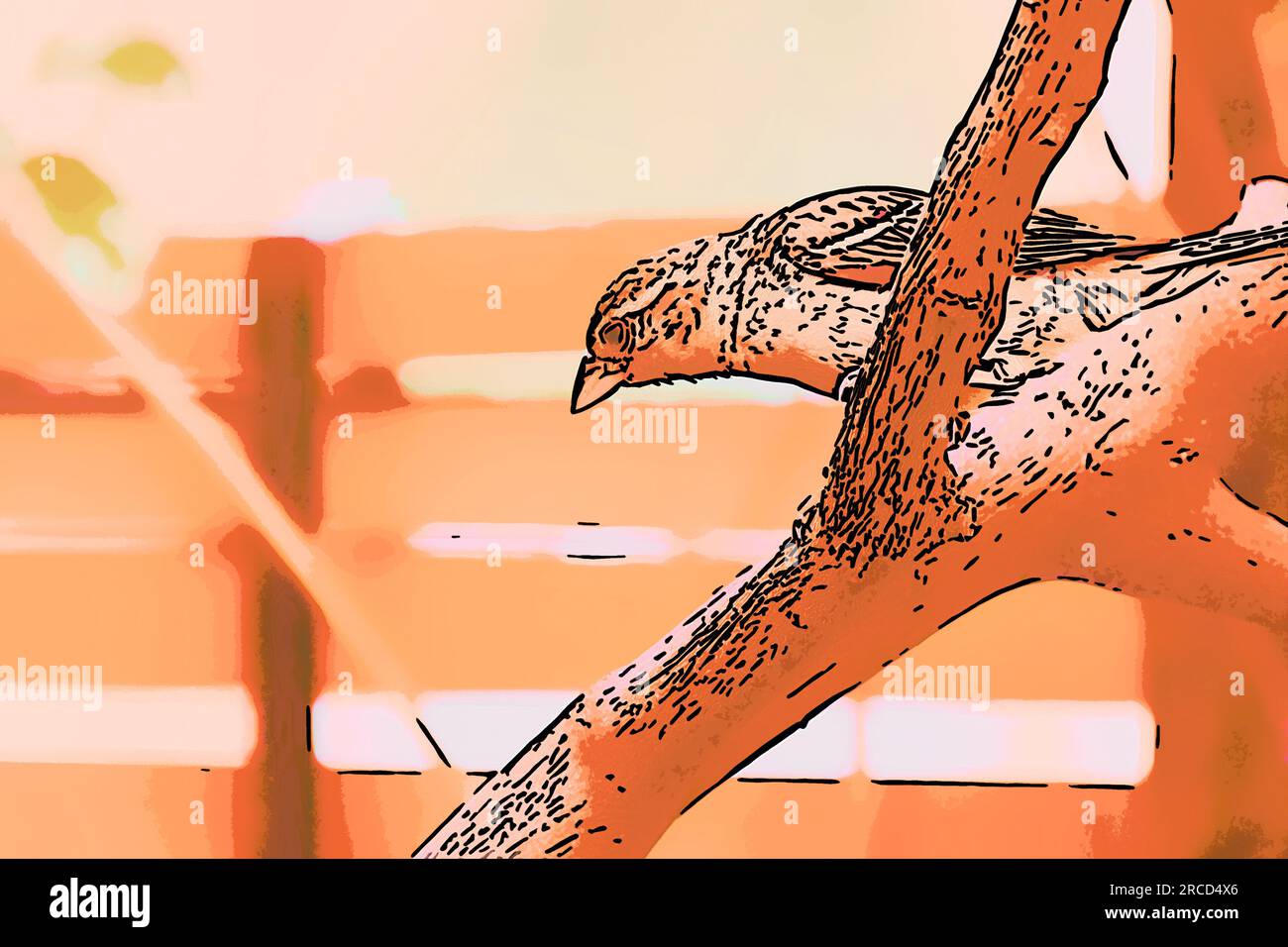 Insects for birds hi-res stock photography and images - Alamy