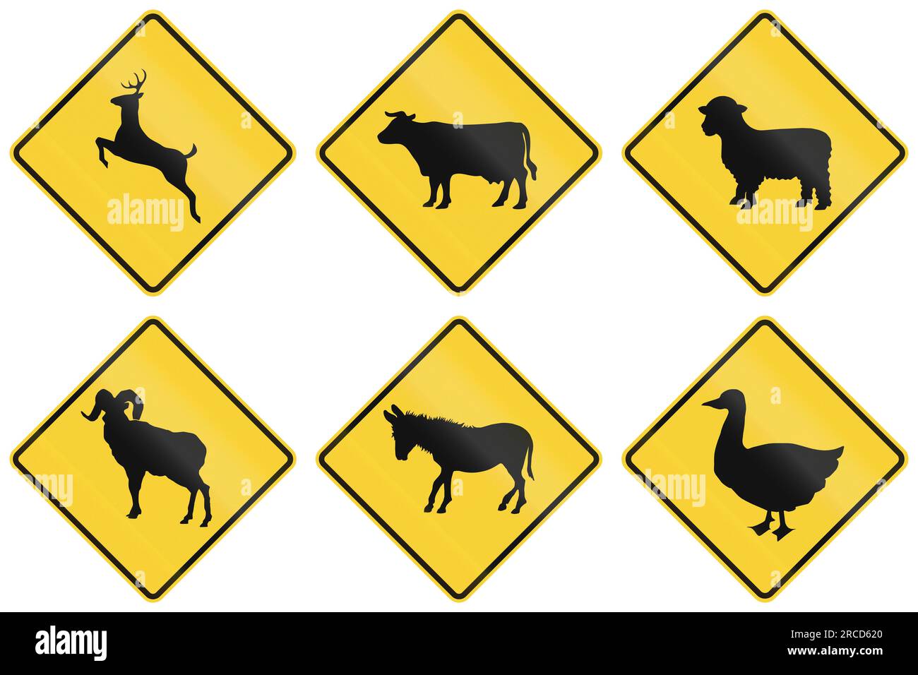Animal road signs Cut Out Stock Images & Pictures - Alamy