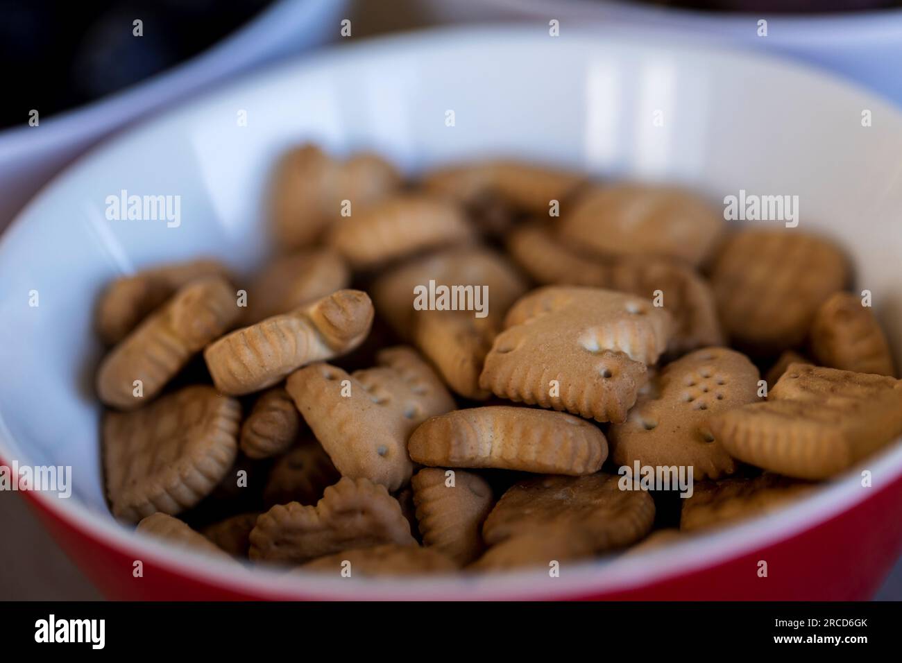 A portrait of multiple delicious letter, abc or alphabet cookies lying ...