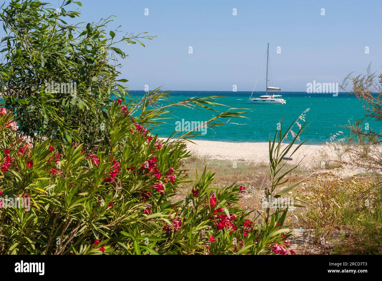A cruising catamaran anchored off the beach at Roccella Ionica ...