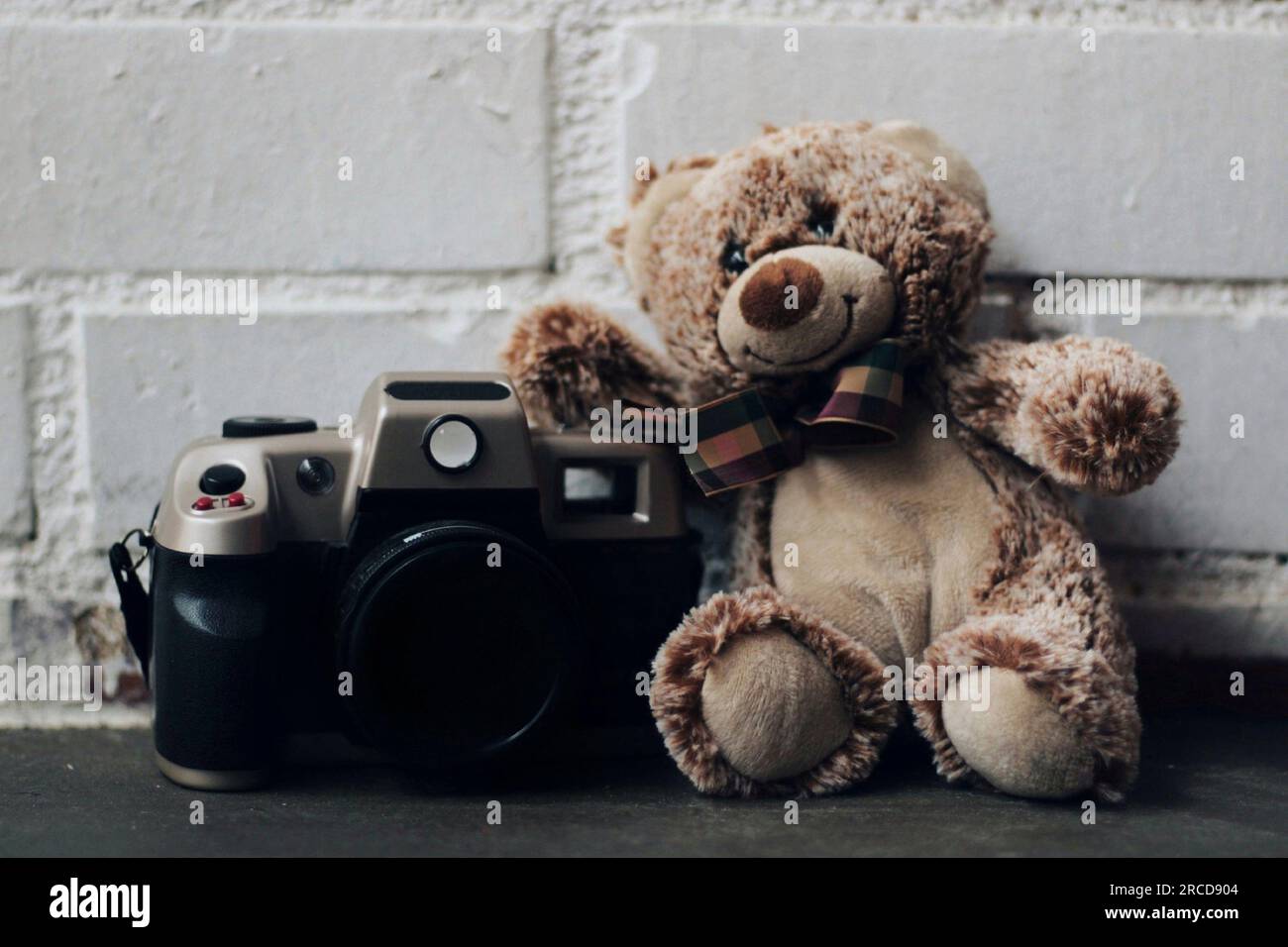 Teddy bear next to a camera Stock Photo - Alamy