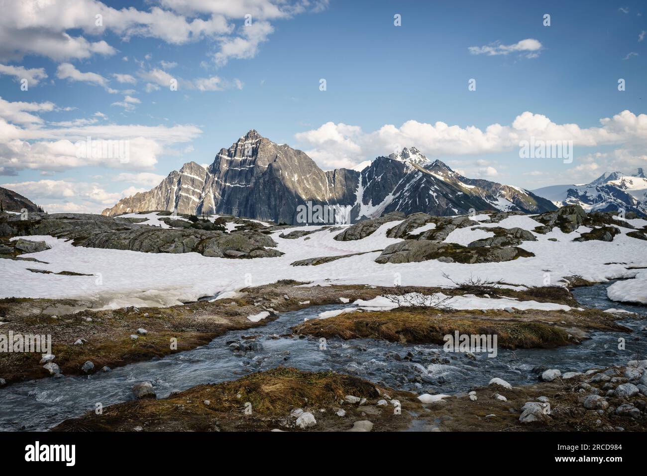 Landscape view of alpine stream with mountains in background, Canada ...
