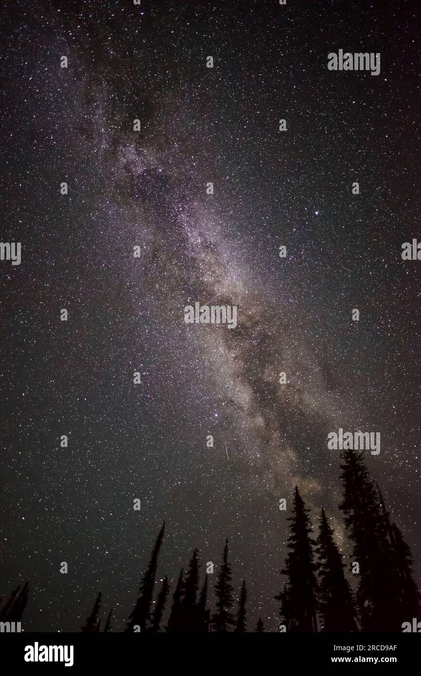 Low angle silhouette hi-res stock photography and images - Alamy