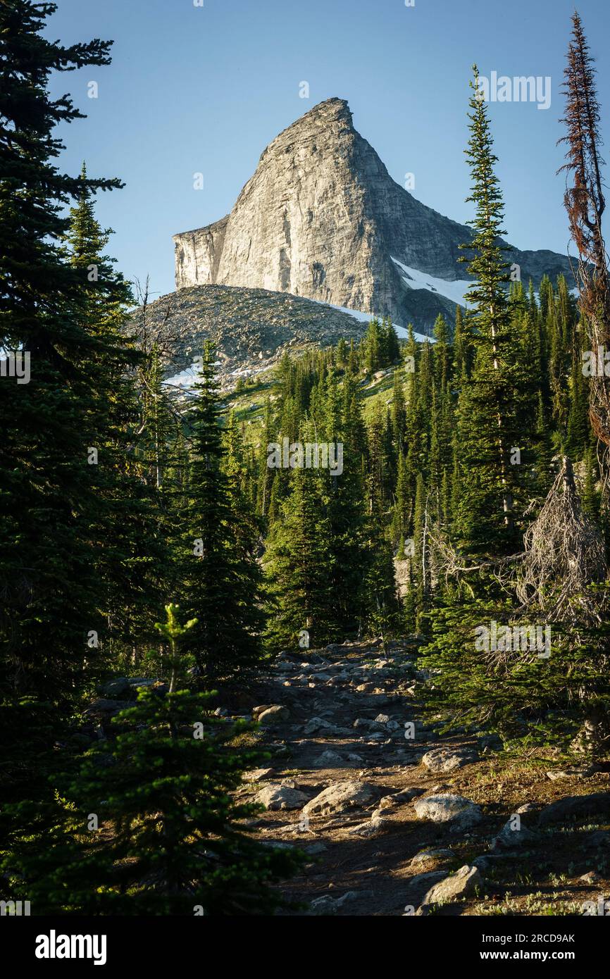 Portrait view of path leading through forest towards large mountain ...