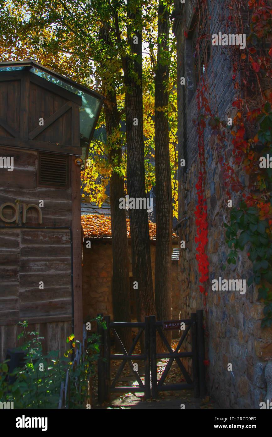 Step into a world of charm as you stroll through the beautiful ...