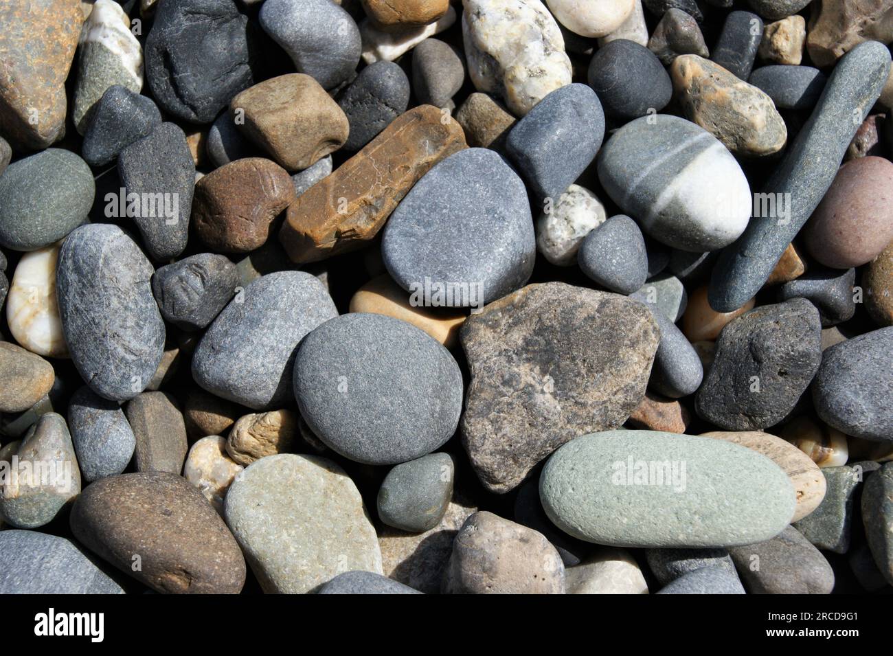 Stones of different sizes on the beach. Background texture Stock Photo ...