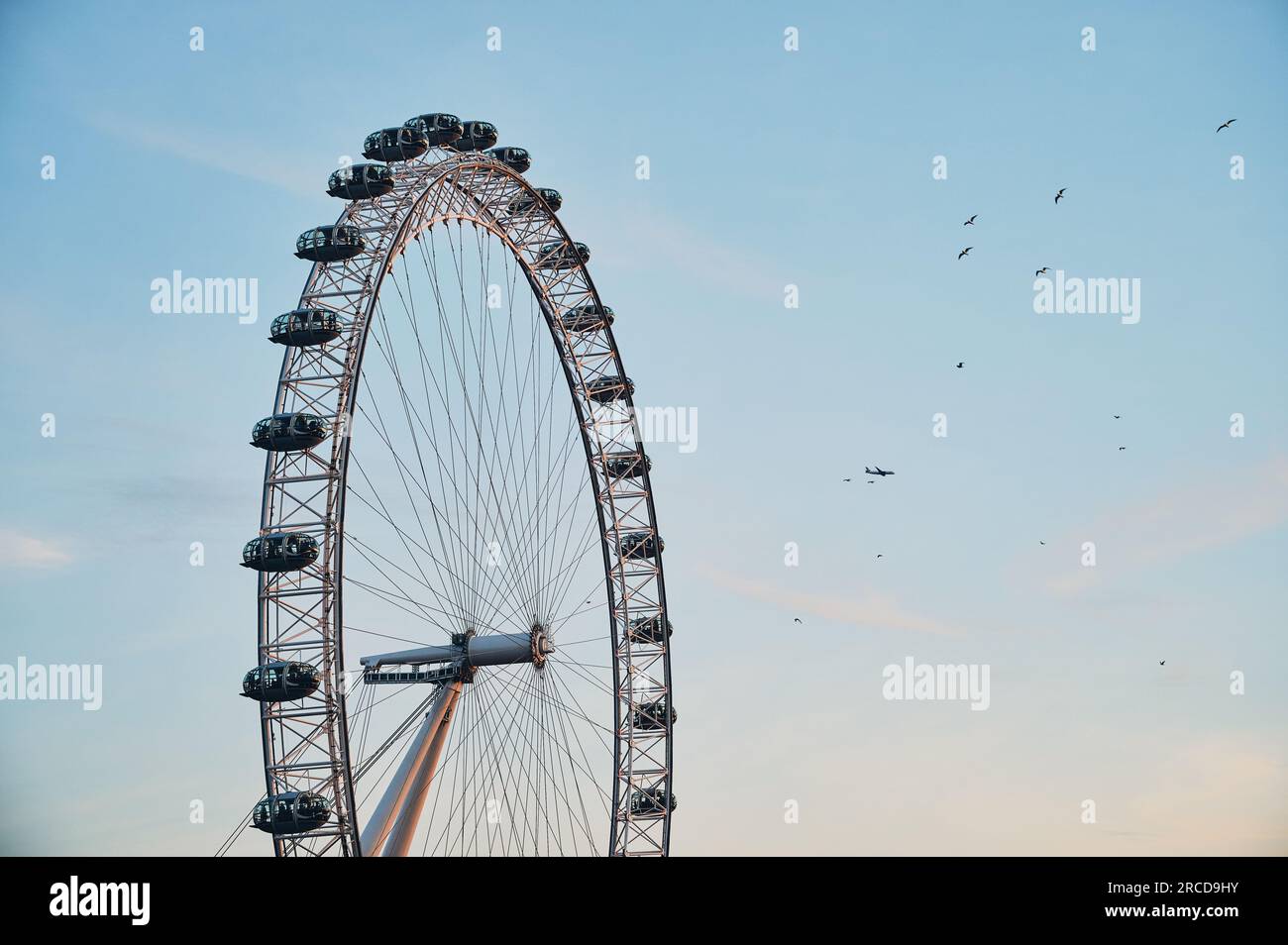 Birds and plane near observation wheel Stock Photo - Alamy