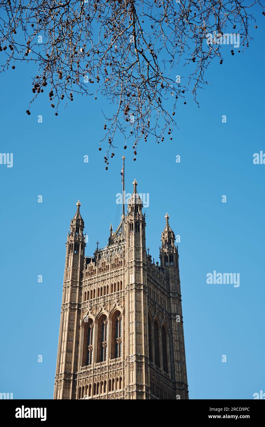 Top of sky tower hi-res stock photography and images - Alamy