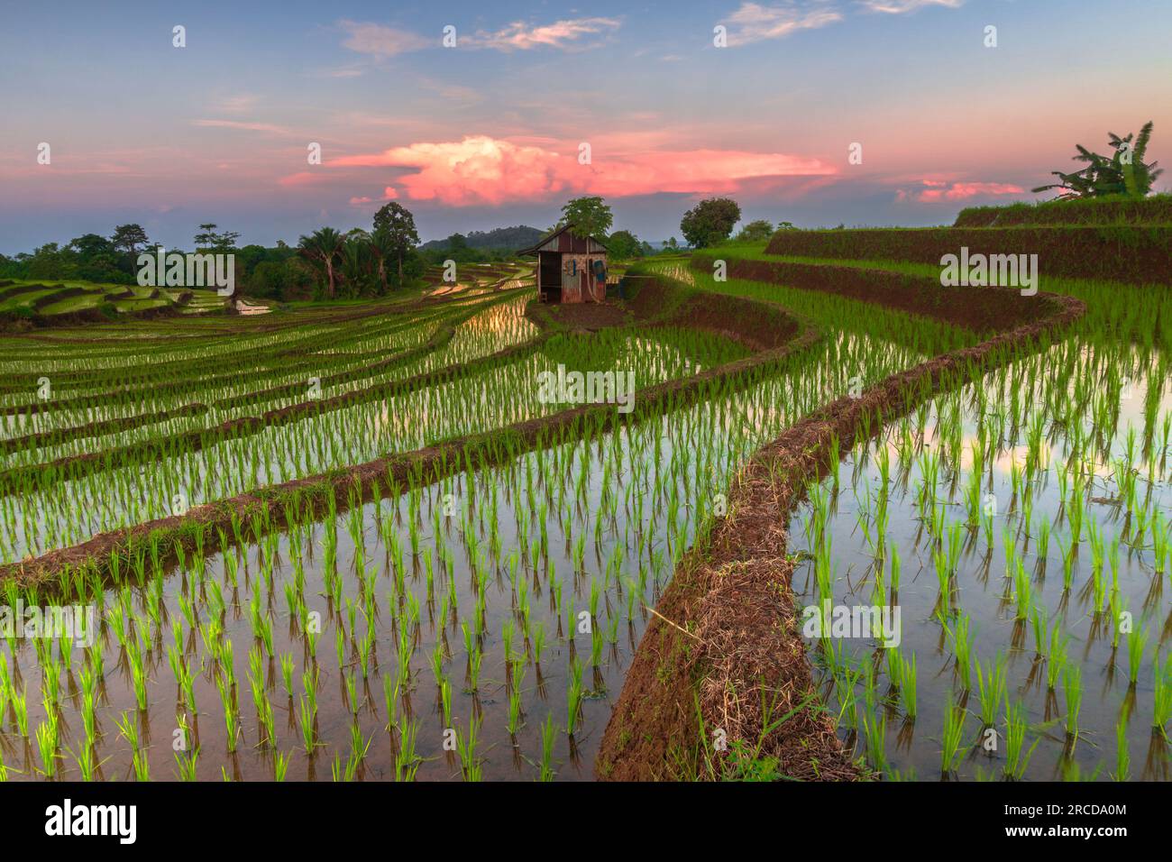 Indonesia beautiful landscape hi-res stock photography and images - Alamy