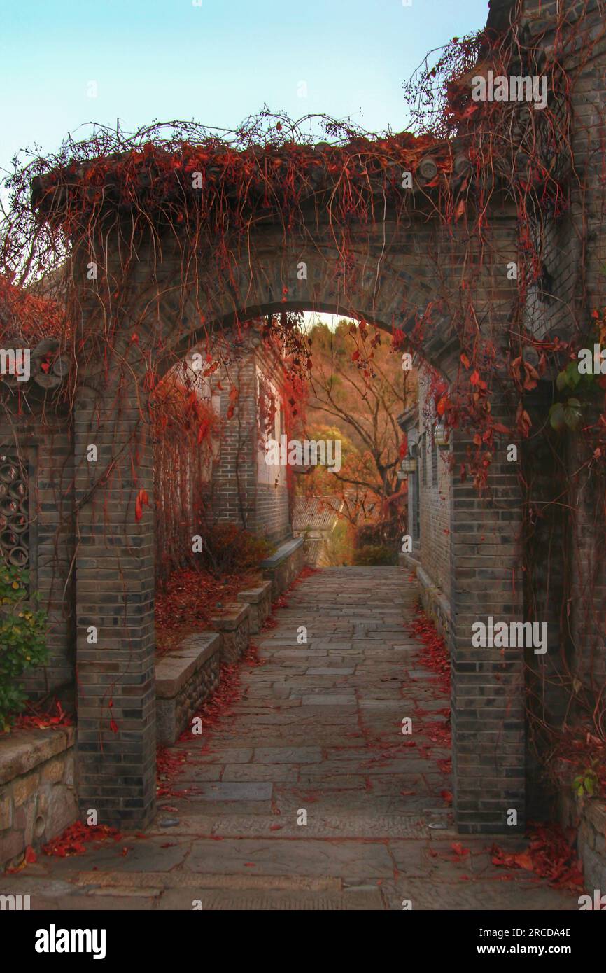 Step into a world of charm as you stroll through the beautiful ...