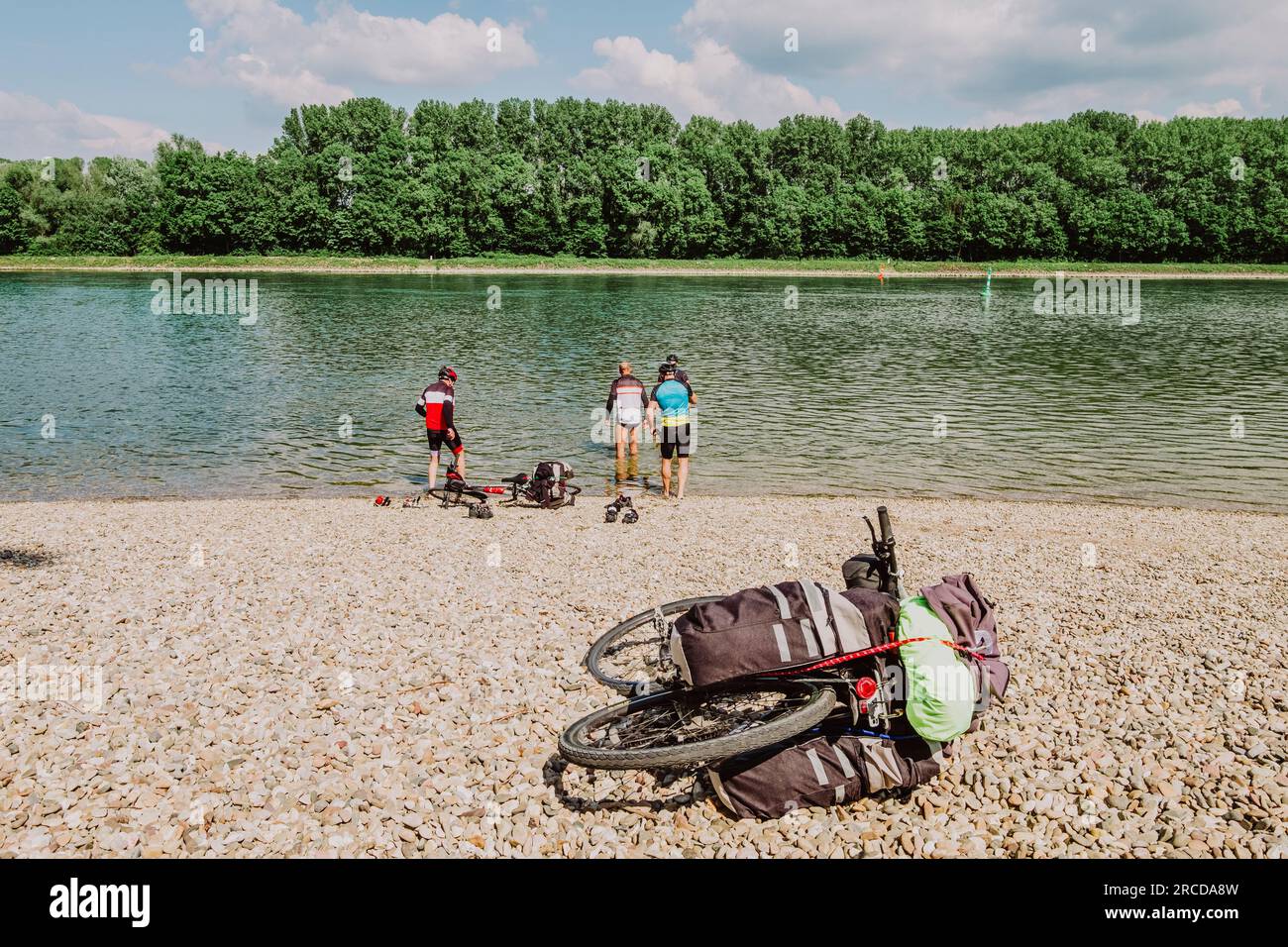 A group of friends cyclists in the water of The Rin river in Germany ...