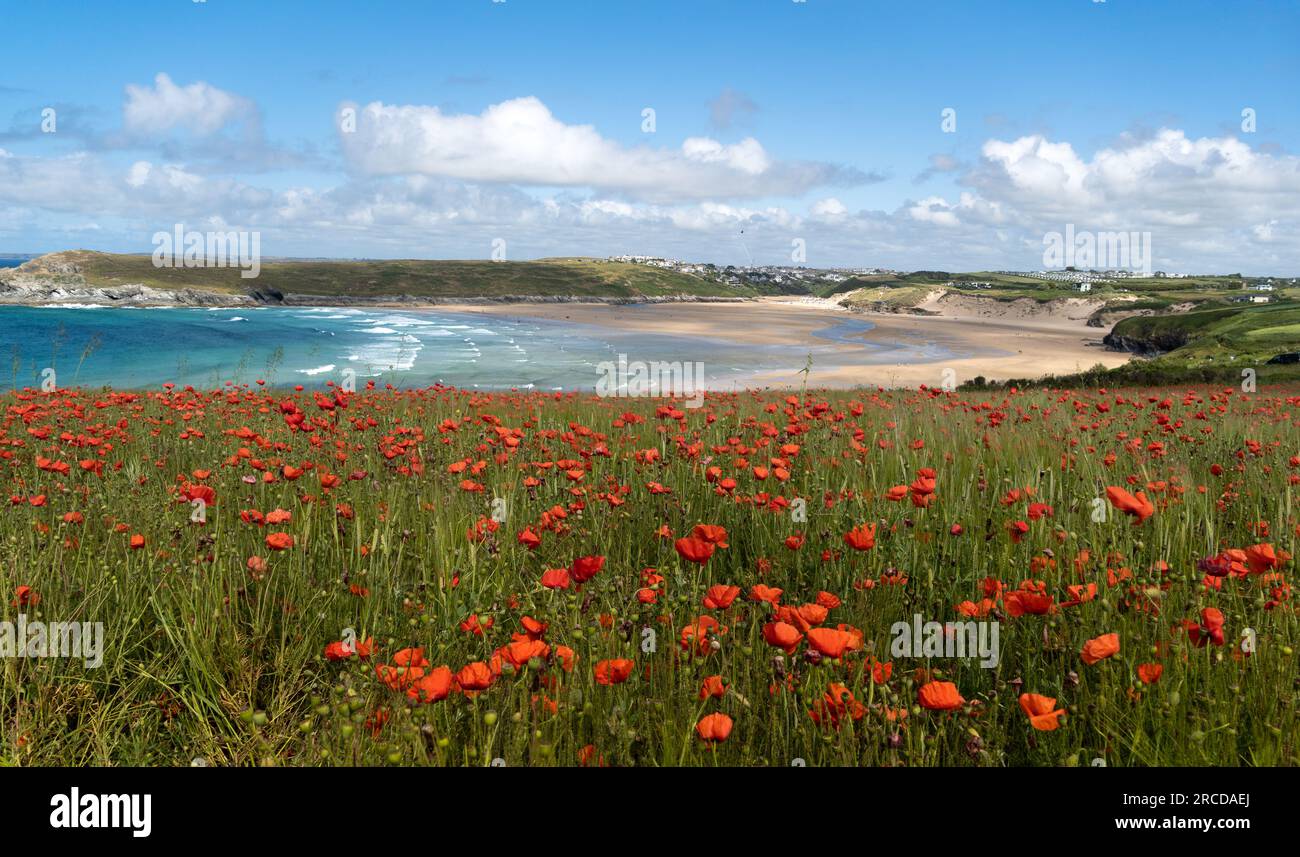 West pentire cornwall hi-res stock photography and images - Alamy