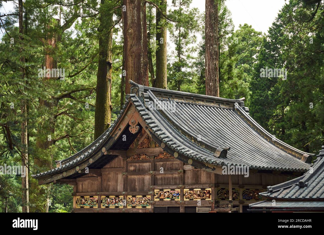Nikko Toshogu Shrine temple in Nikko at spring, Japan Stock Photo - Alamy