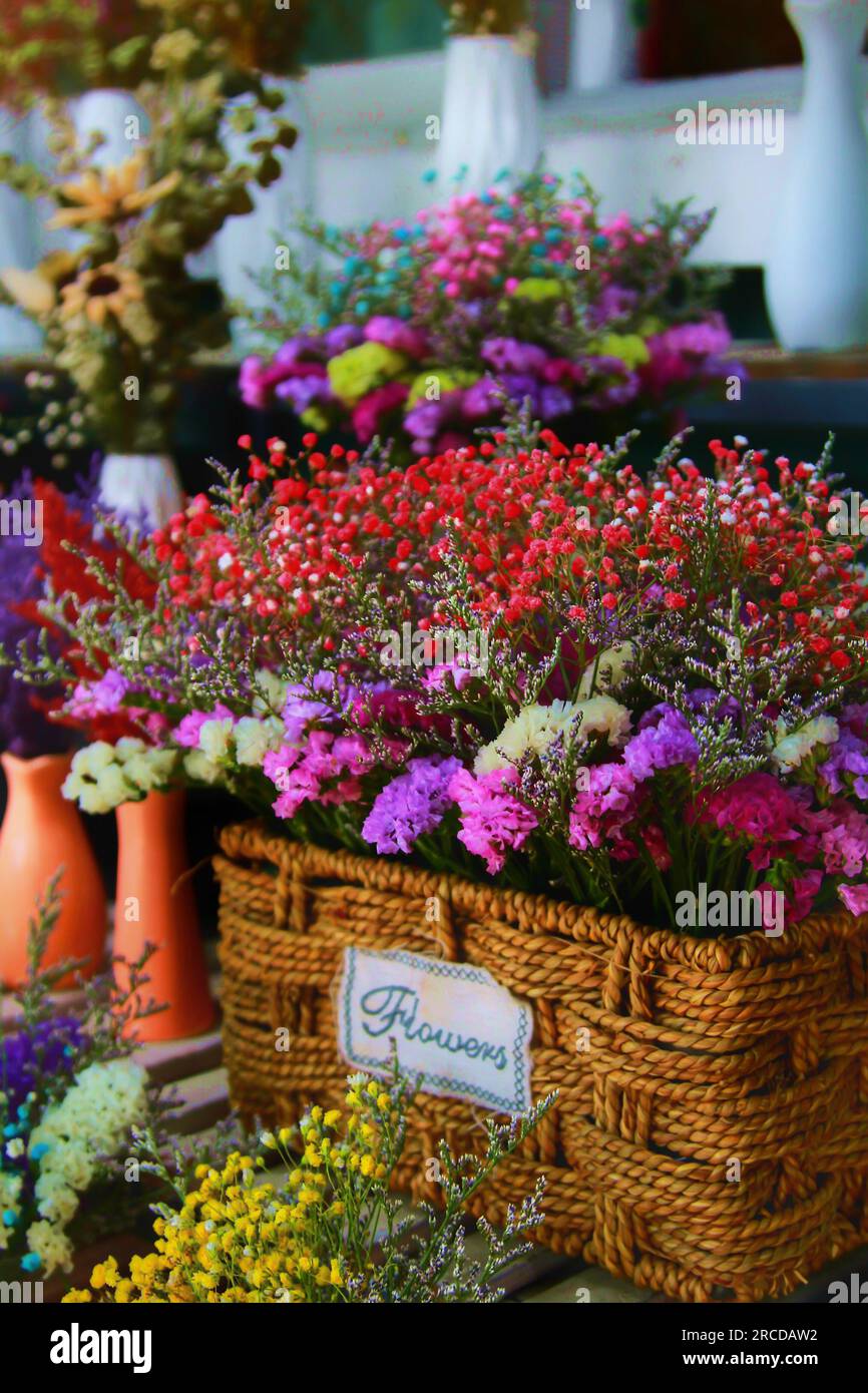 Experience the mesmerizing sight of a diverse garden, where flowers of ...