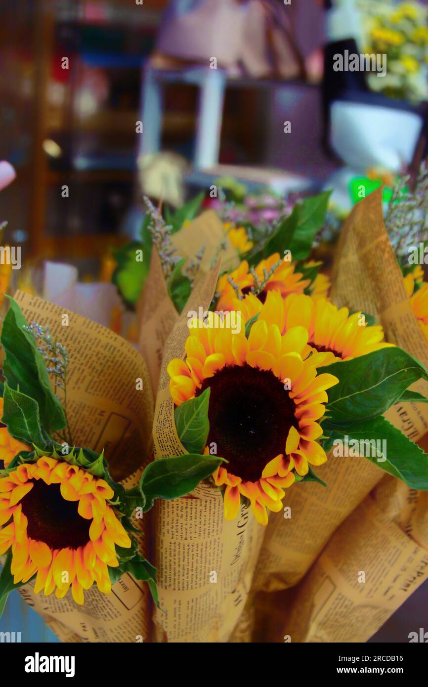 Experience the mesmerizing sight of a diverse garden, where flowers of ...