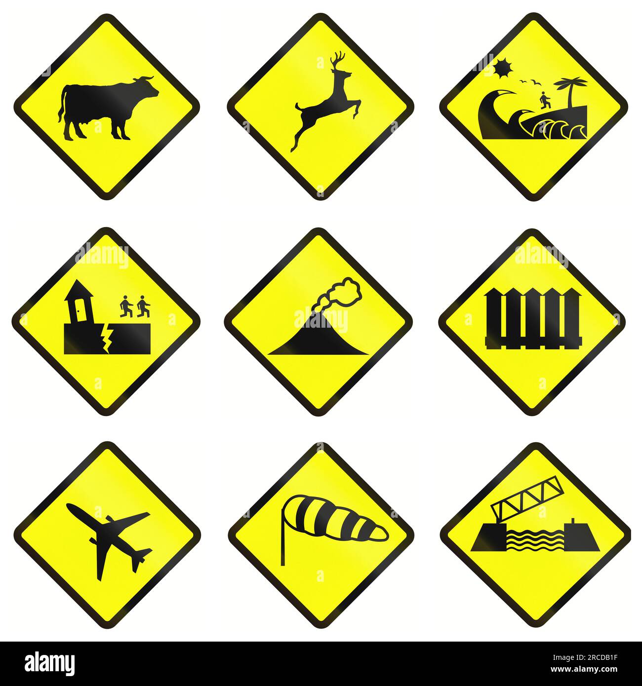 Cattle Crossing In Indonesia Stock Photo - Alamy