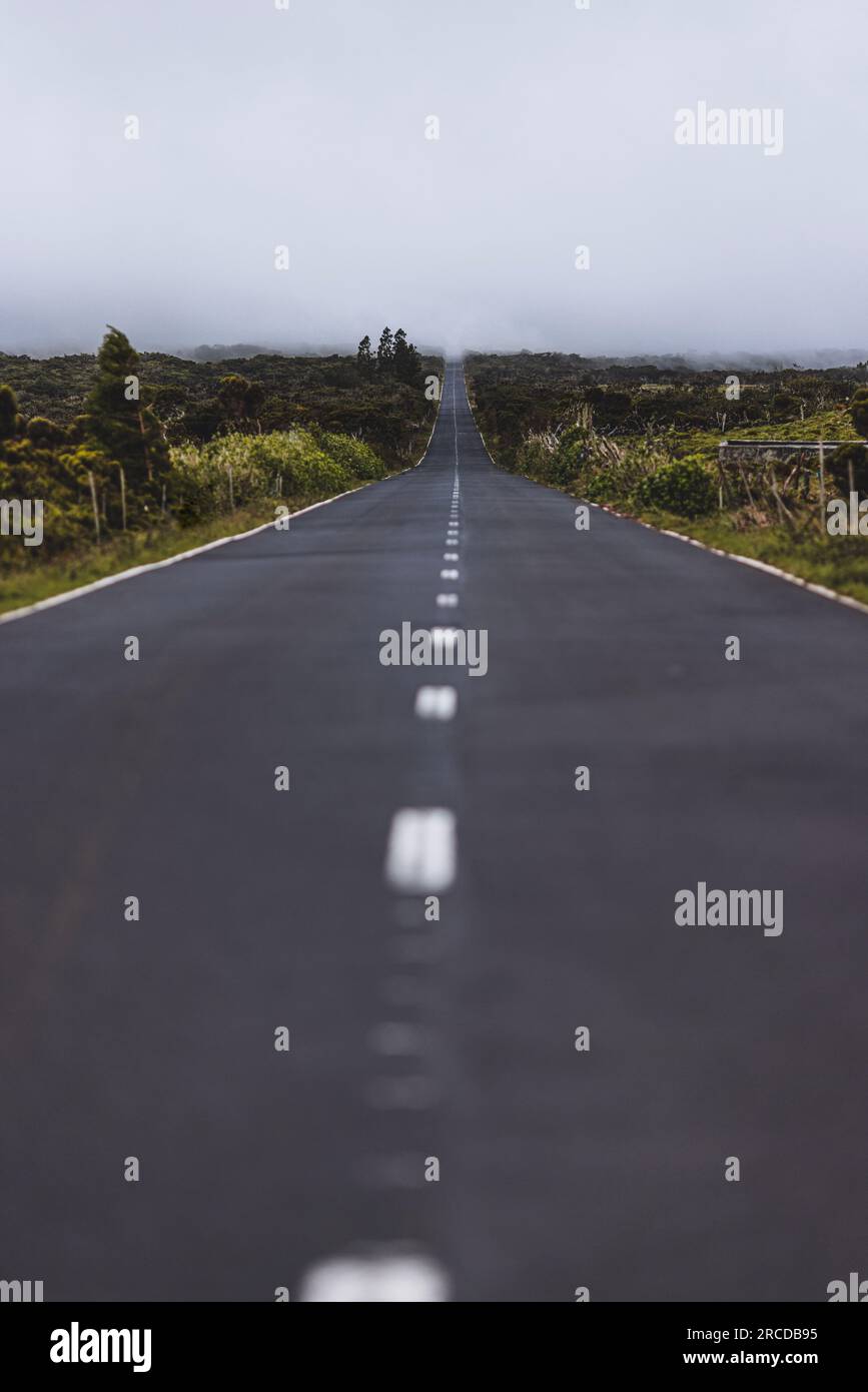Long straight road disappears into a cloud, Pico Island, Azores Stock ...